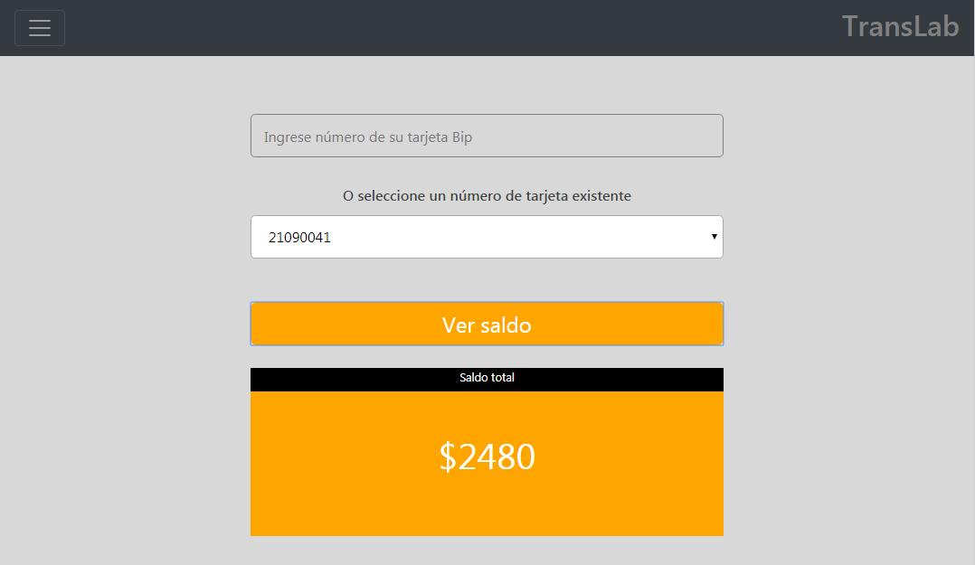 Portafolio Camila Ramírez